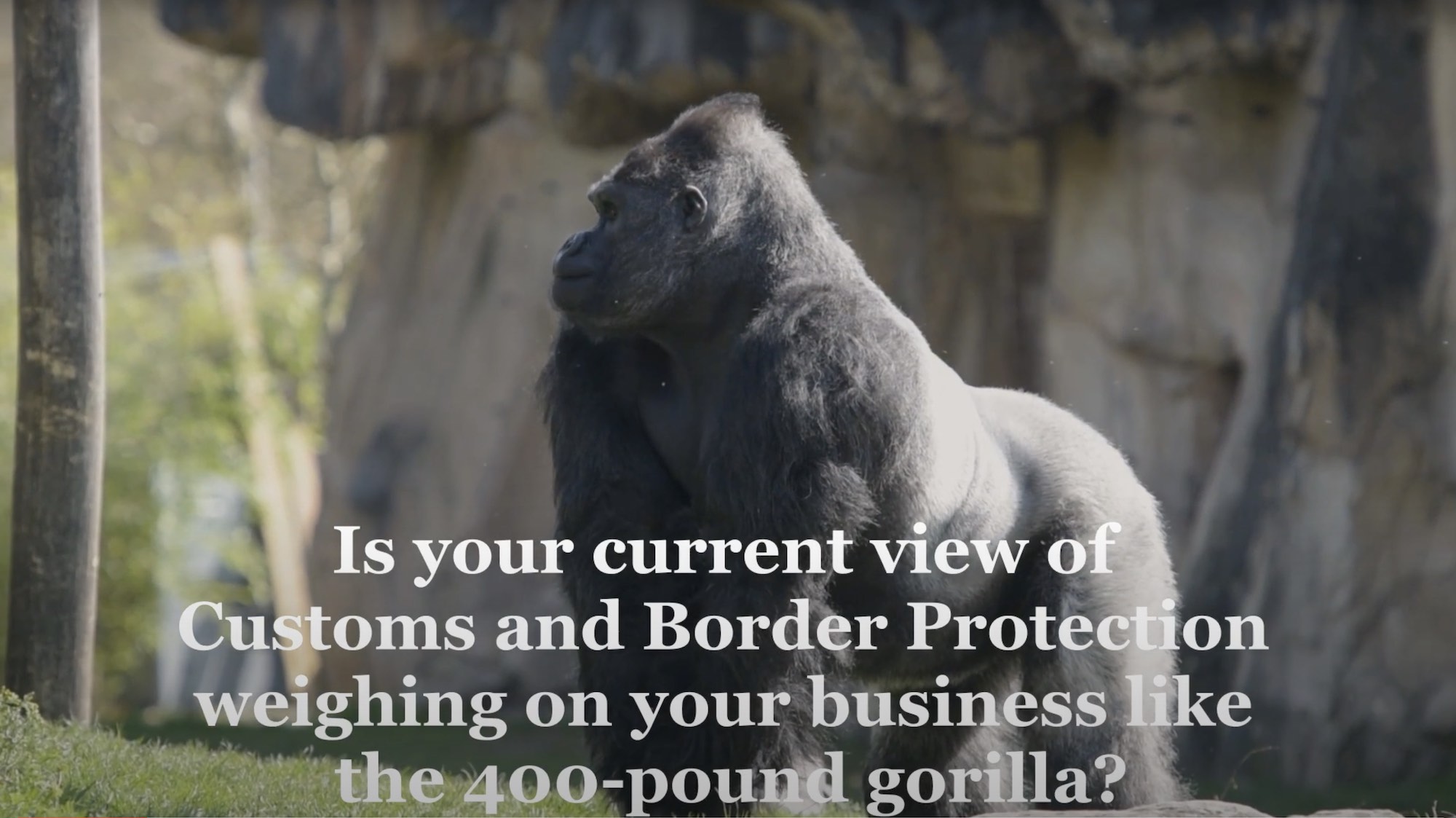 Customs and Border Protection | Braumiller Consulting Group