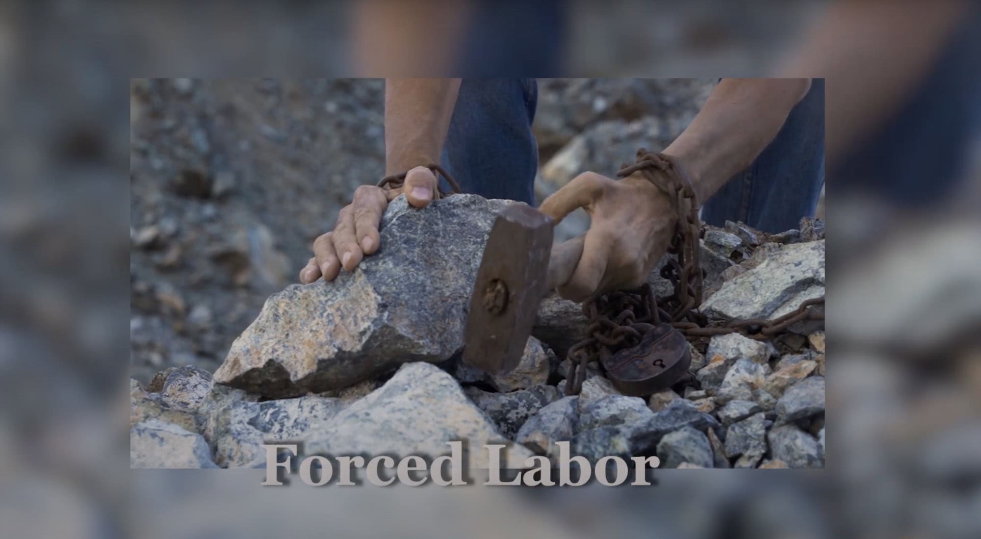 Forced Labor Goods from the Uyghur Region in China through Malaysia