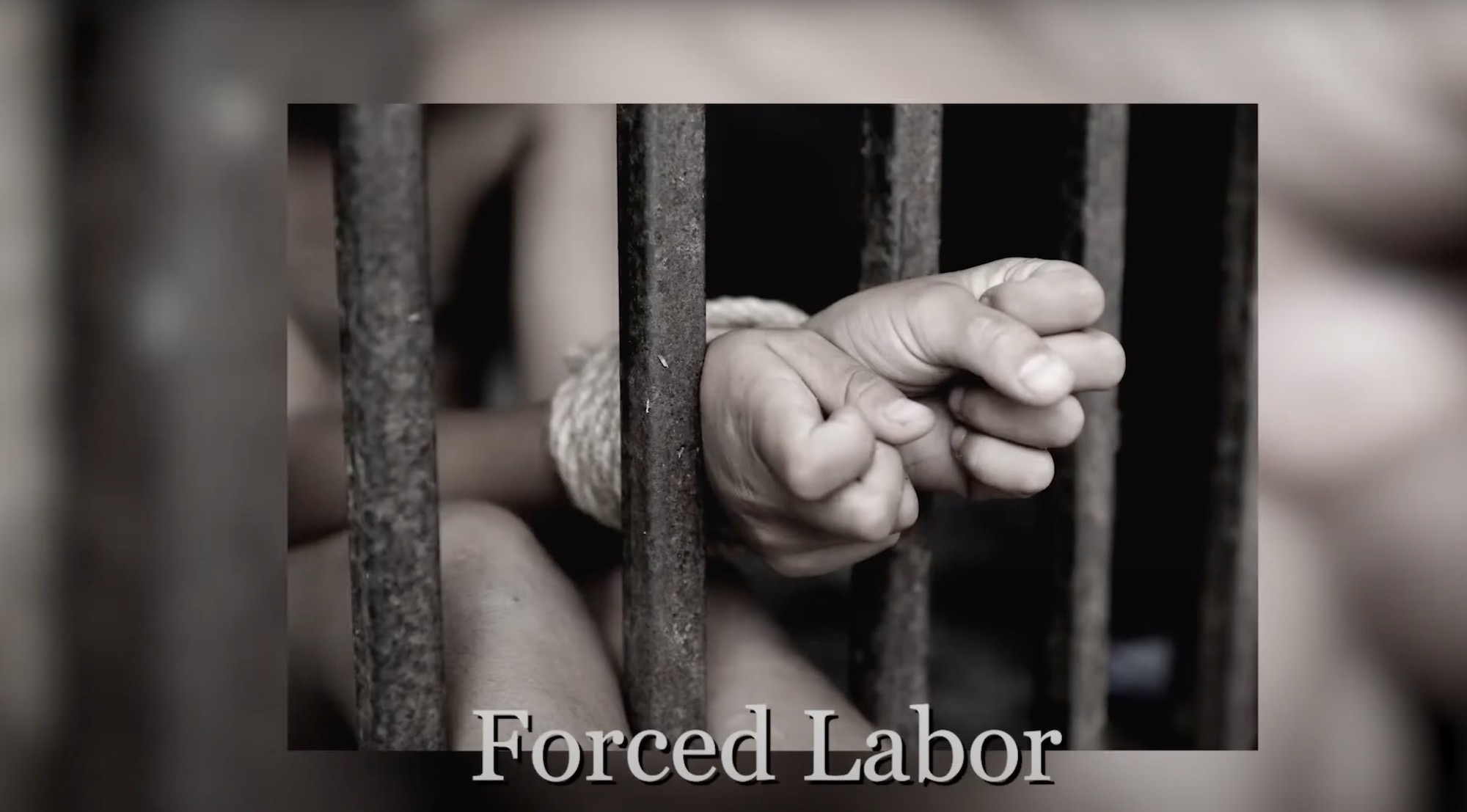International Trade: Forced Labor | Adrienne Braumiller
