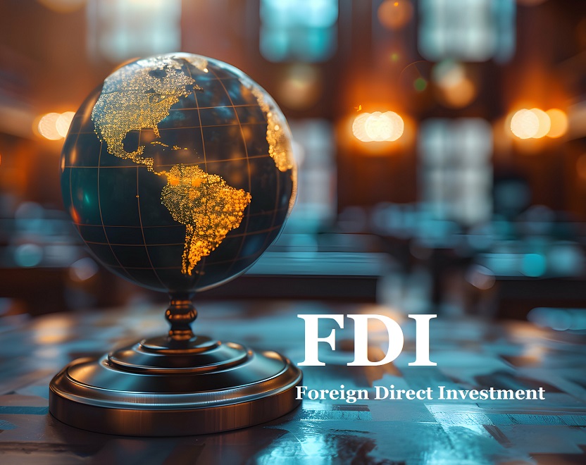 Foreign Direct Investment Trends in 2024